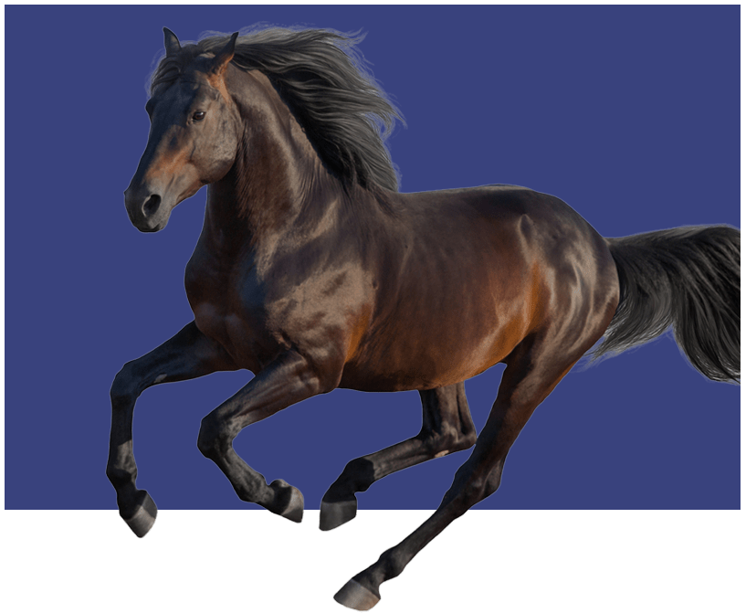 WANT TO EXPLORE MORE DETAILS